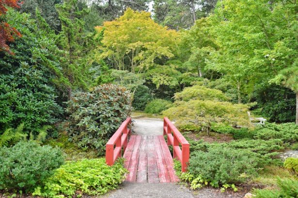 The Magic of Mytoi Gardens | Crispin Haskins